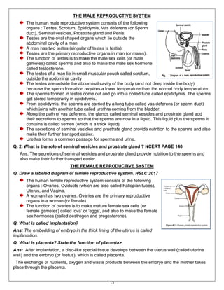 Reproduction- class x biology NCRT | PDF | Infertility | Reproductive ...