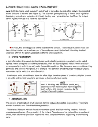 Reproduction- class x biology NCRT | PDF | Infertility | Reproductive ...