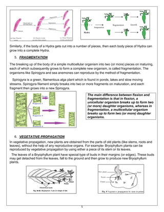 Reproduction- class x biology NCRT | PDF | Infertility | Reproductive ...