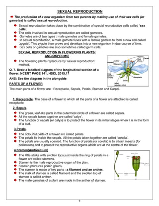 Reproduction- class x biology NCRT | PDF | Infertility | Reproductive ...