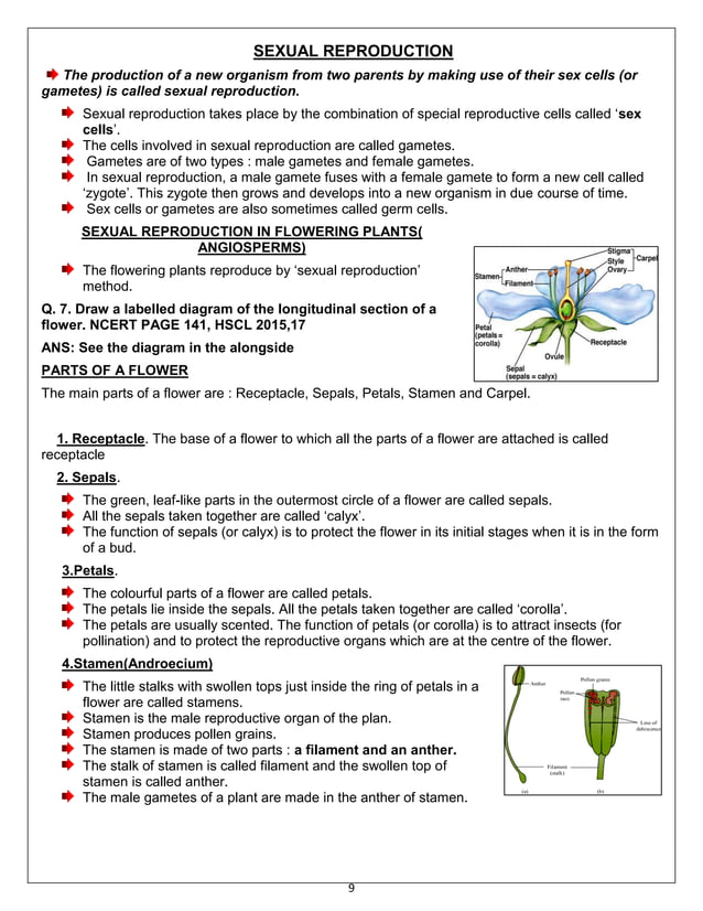 Reproduction- class x biology NCRT | PDF | Infertility | Reproductive ...