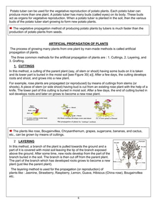 Reproduction- class x biology NCRT | PDF