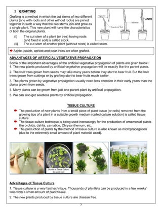 Reproduction- class x biology NCRT | PDF