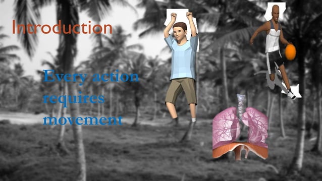 Ch-8-Body Movements.pptx Body Movements | PPTX