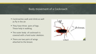 Ch 8 body movements | PPTX
