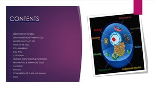 Ch - 8 Cell - Structure and Functions.pptx