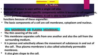 Ch - 8 Cell - Structure and Functions.pptx