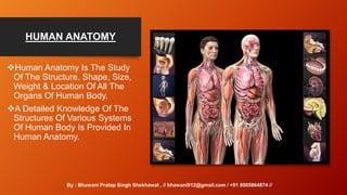 class 11th Ch 8 fundamentals of anatomy, physiology, kinesiology in ...