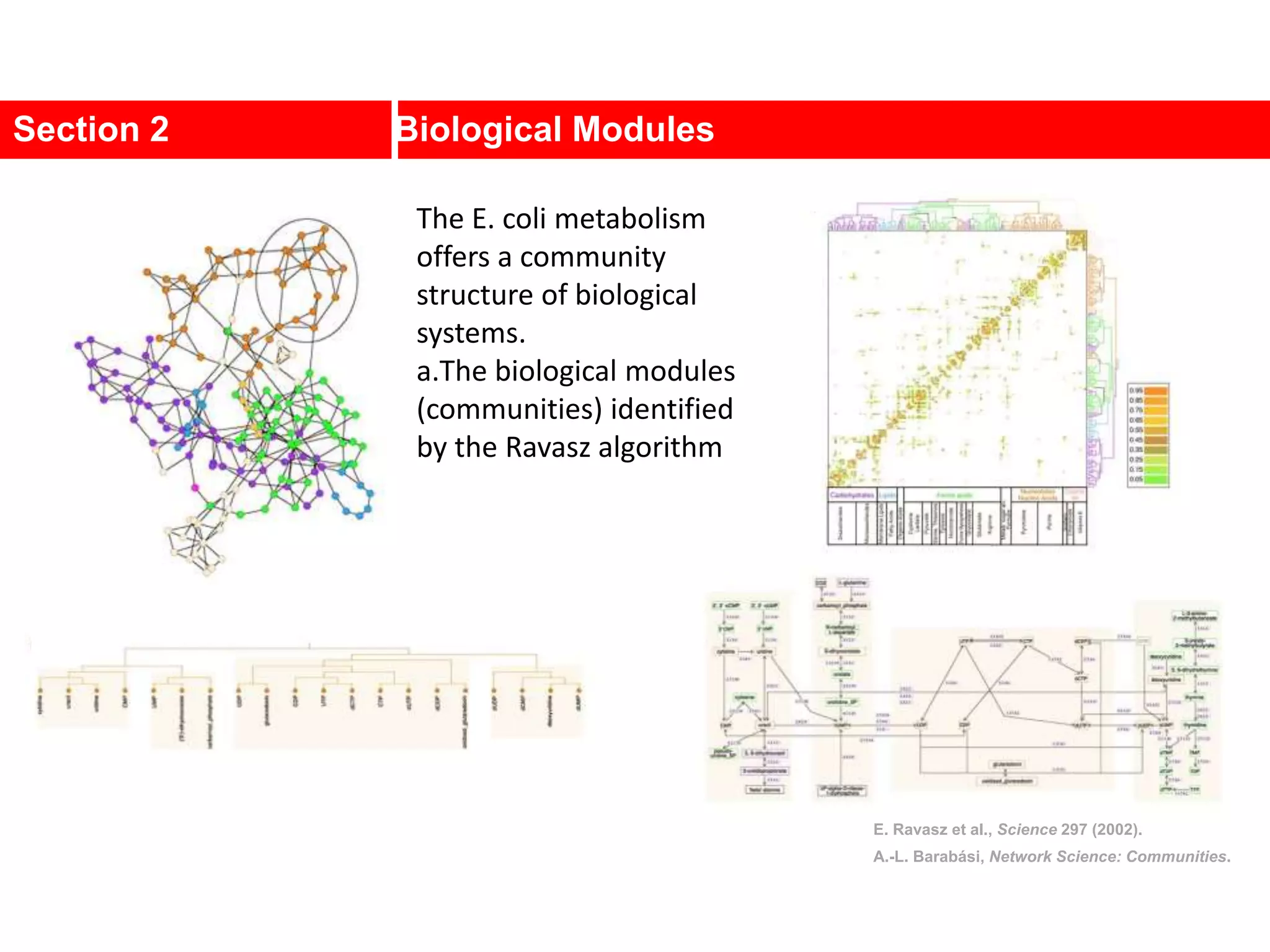 Communities in Network Science | PPTX