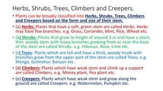 Ch-9_Sc_Plants-Structure-and-functions.pptx