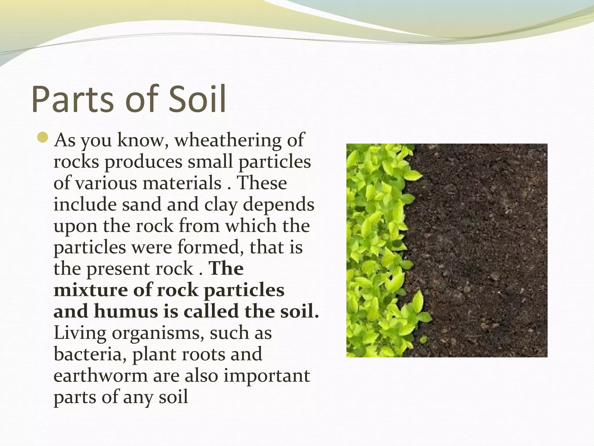 Ch 9 Soil | PPT