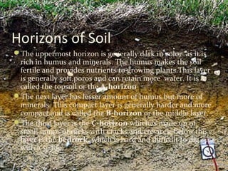 Ch 9 Soil | PPT