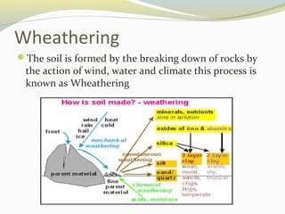 Ch 9 Soil | PPT