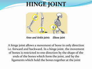 CH-BODY MOVEMENT | PPT