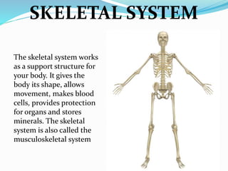 CH-BODY MOVEMENT | PPT