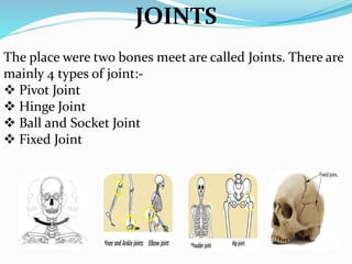 Fixed Joint Examples