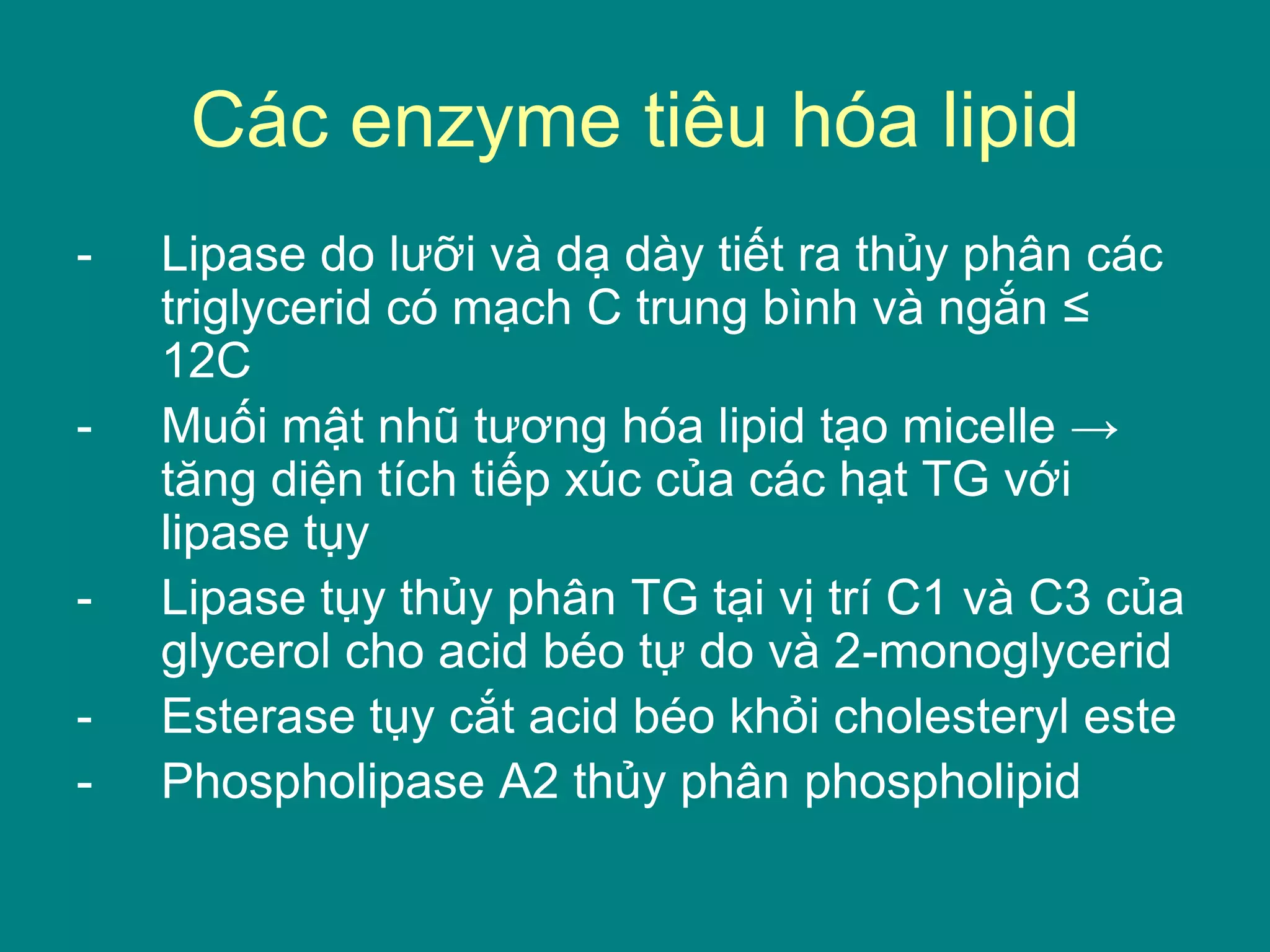 Ch lipid-ct-04092013 tn | PDF