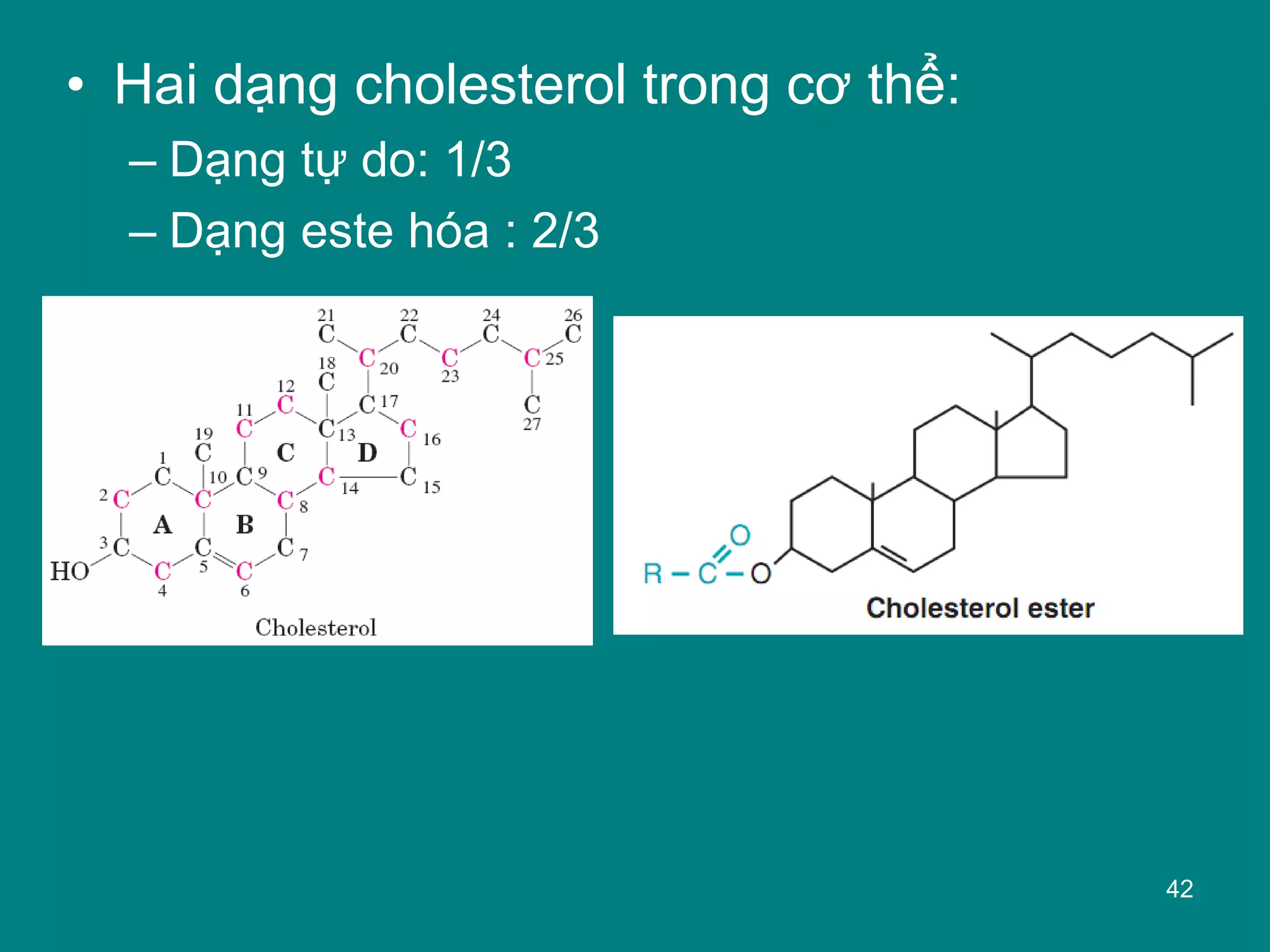 Ch lipid-ct-04092013 tn | PDF