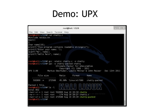 CNIT 126 Ch 0: Malware Analysis Primer & 1: Basic Static Techniques | PDF