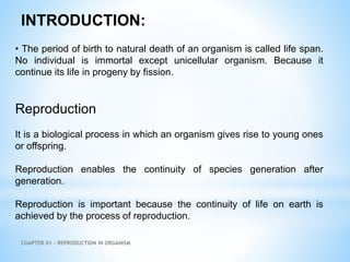 Ch 01 - Reproduction in Organism || Class 12 || | PPTX