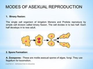 Ch 01 - Reproduction in Organism || Class 12 || | PPTX