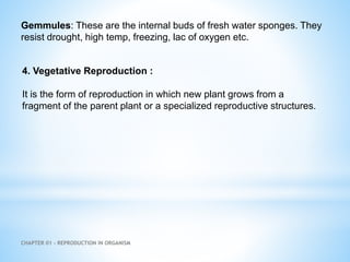 Ch 01 - Reproduction in Organism || Class 12 || | PPTX