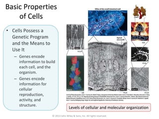 ch01.ppt