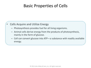 ch01.ppt