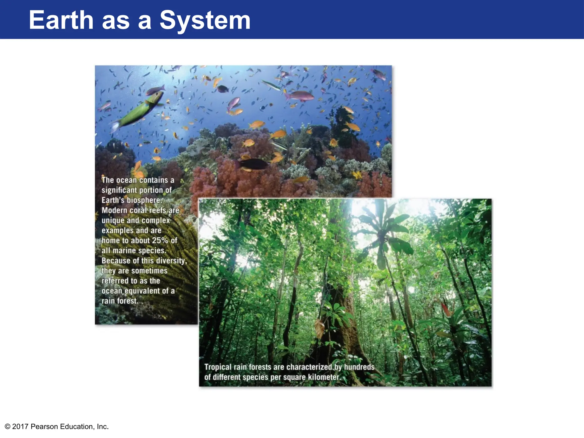 Ch01-intro2wrwrrwrwerwrerwerwerwerearth.pptx