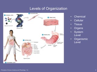 Ch01 Ppt | PPTX