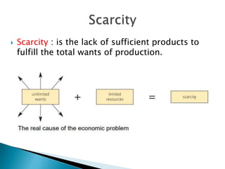 CH01 Business activity.pptx