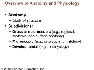 Ch1 Human body Part A | PPT