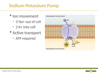 CH01_The Cell in Health and Illness (2).pptx | Biological Sciences ...
