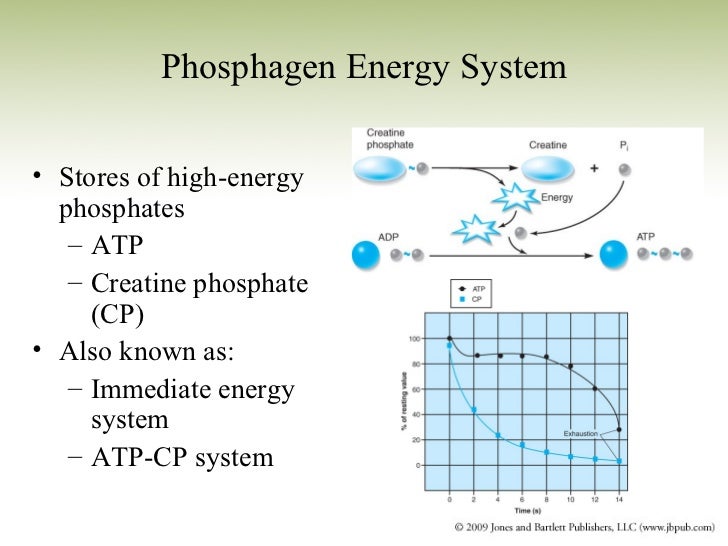 Sports Nutrition_Chapter 2_Nutrients