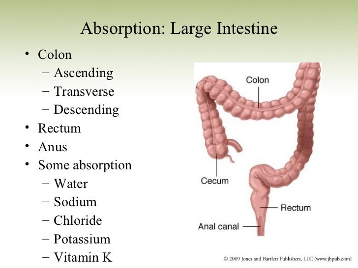 Sports Nutrition Chapter 2 Nutrients