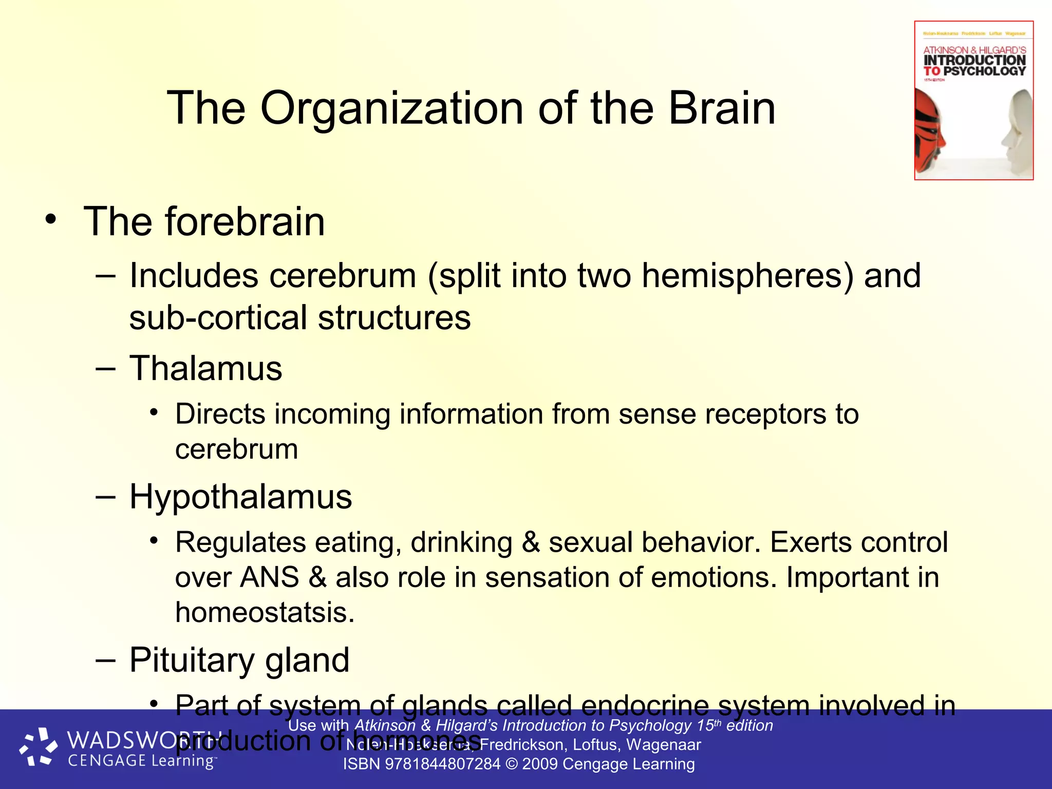 Lecture2:Chapter 2 NEW Edited - Dr.Naif AlMutawa | PPT
