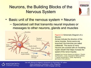 Lecture2:Chapter 2 NEW Edited - Dr.Naif AlMutawa | PPT