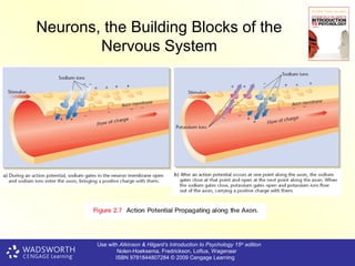 Lecture2:Chapter 2 NEW Edited - Dr.Naif AlMutawa | PPT