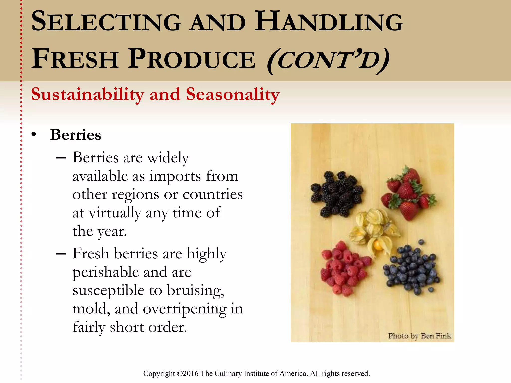 ch02: Ingredient Identification.pptx