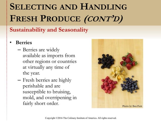 ch02: Ingredient Identification.pptx