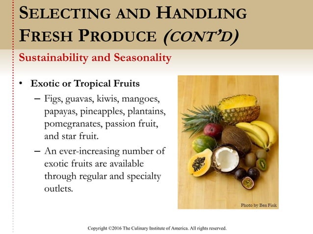 ch02: Ingredient Identification.pptx
