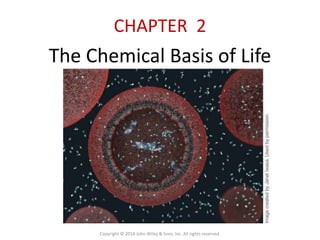 The Chemical Basis of Life | PPT