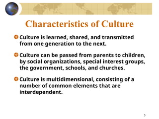 Development Culture and its Repercursions | PPT
