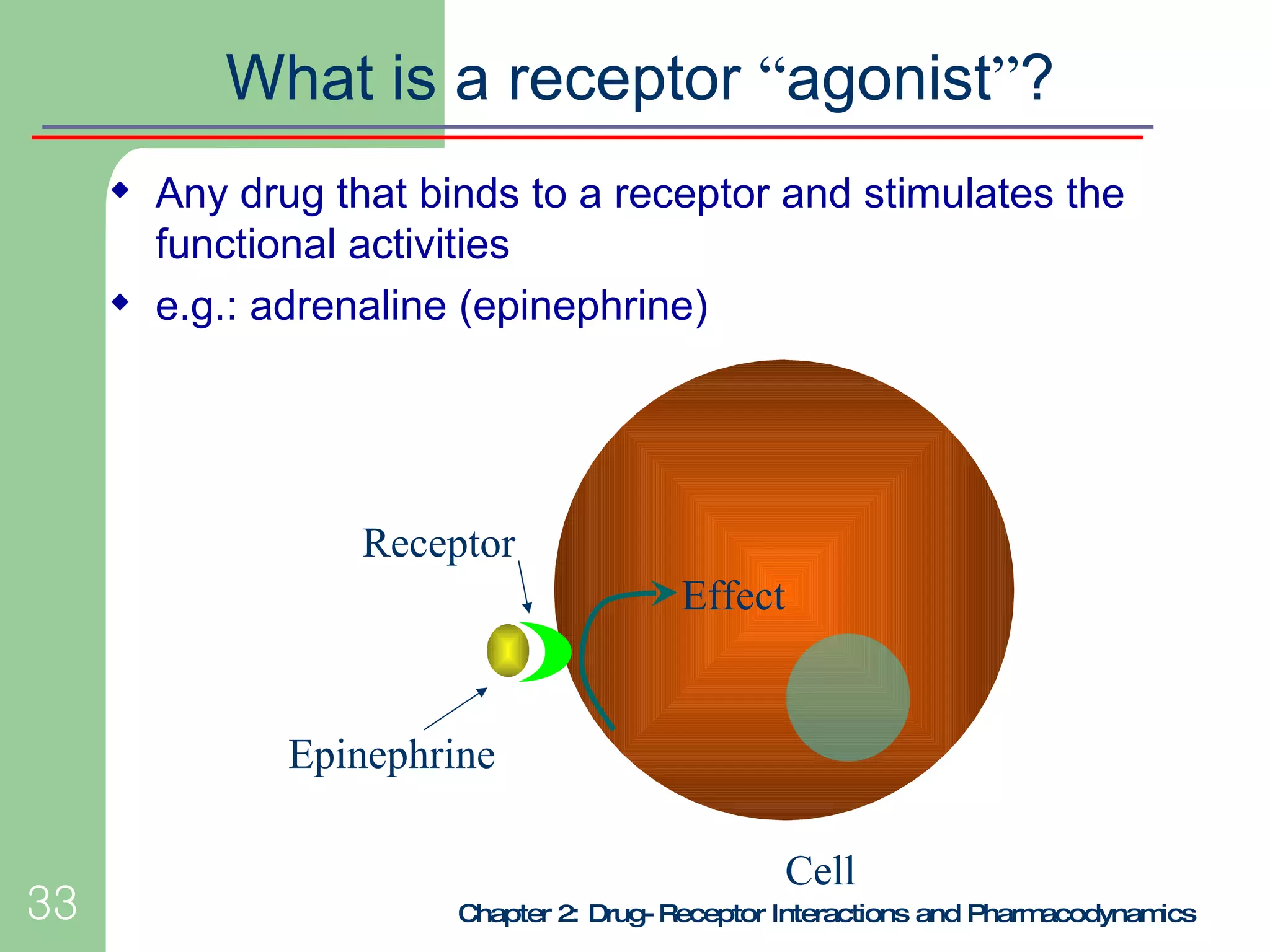 Ch02 Drug Receptor Interactions And Pharmacodynamics | PPT