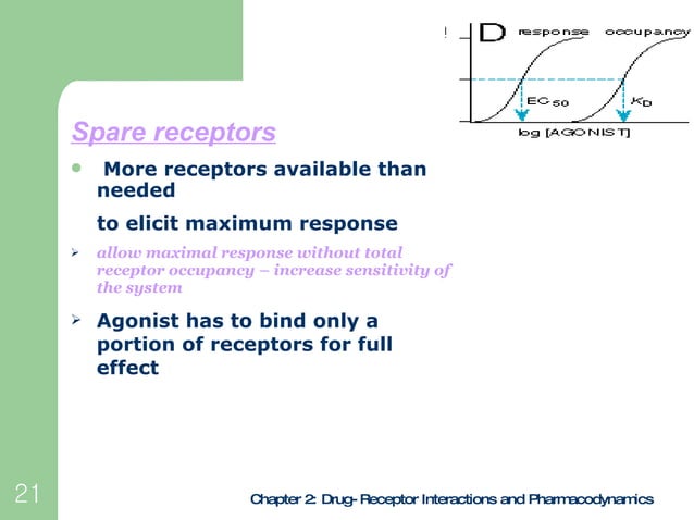 Ch02 Drug Receptor Interactions And Pharmacodynamics | PPT