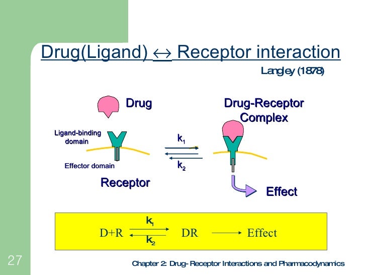 Ch02 Drug Receptor Interactions And Pharmacodynamics