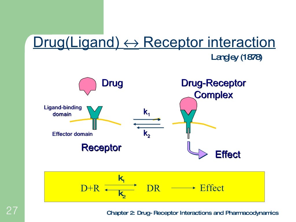 Ch02 Drug Receptor Interactions And Pharmacodynamics