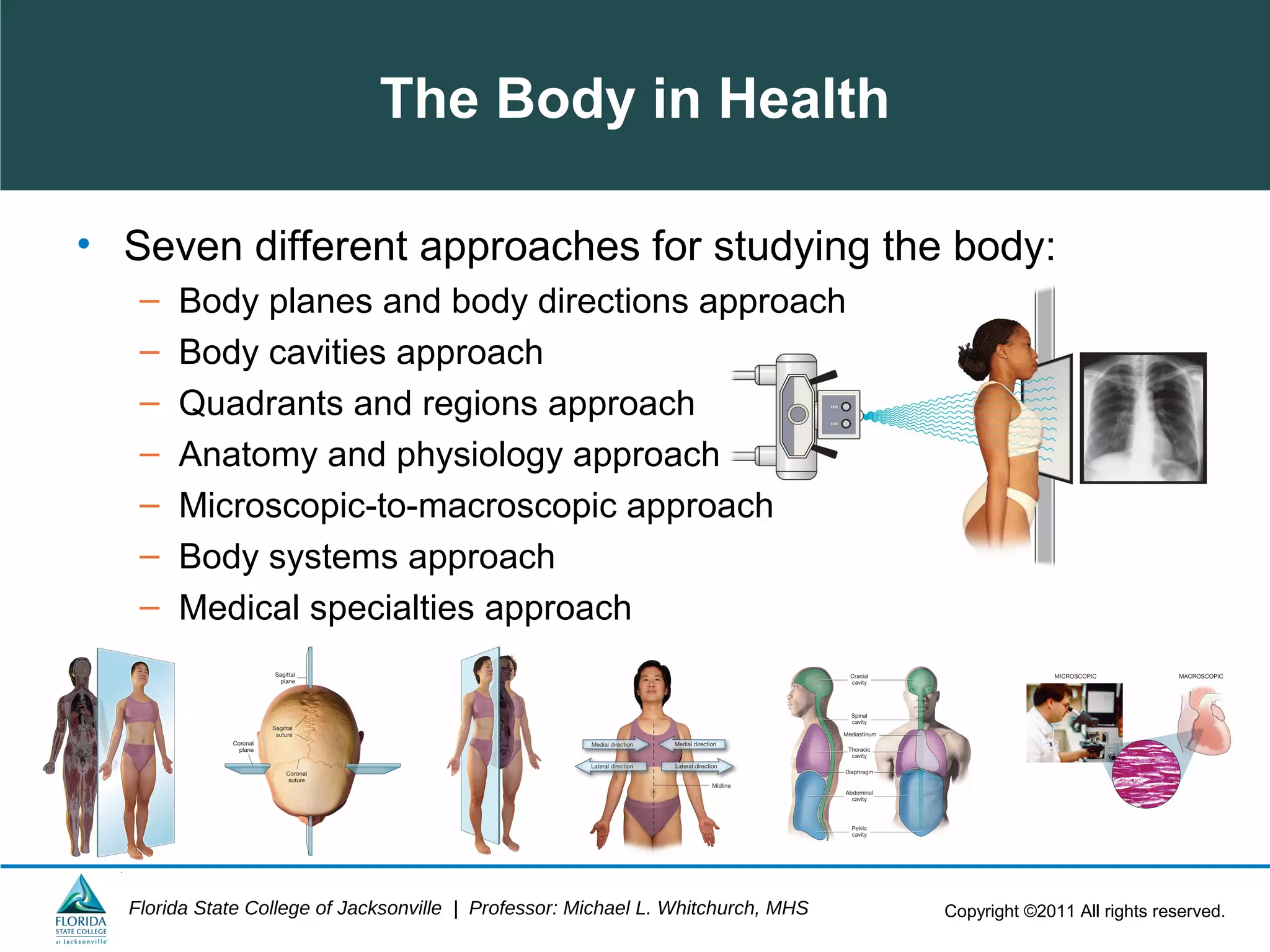 Ch02 body organization_2013 | PPT