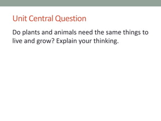 CH#02 Part A Environement of animals .pptx