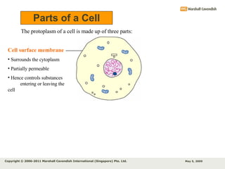 Ch02 Parts Of A Cell | PPT